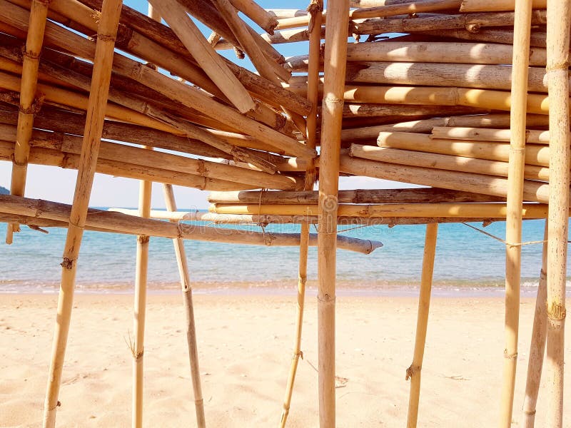Bamboo on the beach stock photo. Image of blue, beach - 193196520