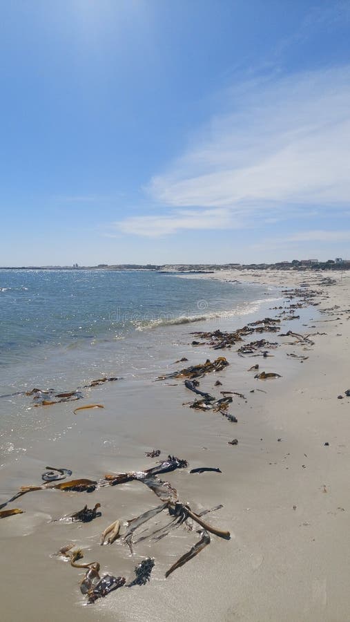 Port Nolloth stock image. Image of nolloth, beach, cool - 102117979
