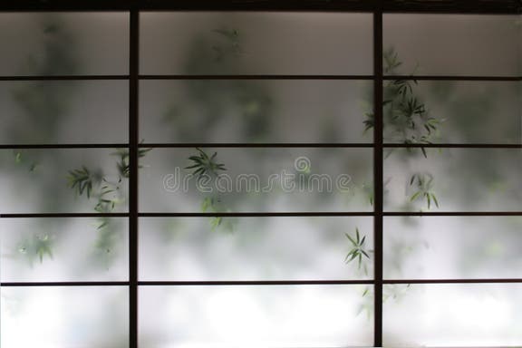 1,136 Plant Growing Green Screen Stock Photos - Free & Royalty-Free ...