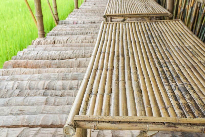 Bamboo bench stock photo. Image of house, garden, rock - 22856302