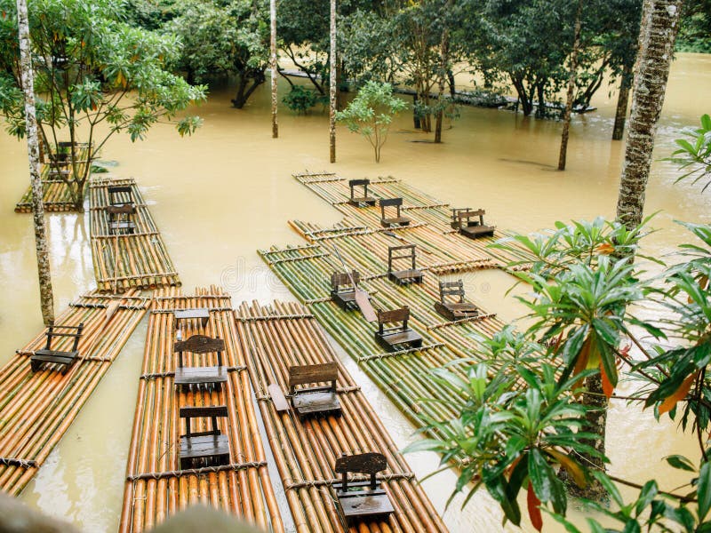 Bamboo Boats on the River in the Jungle Stock Photo - Image of walk ...