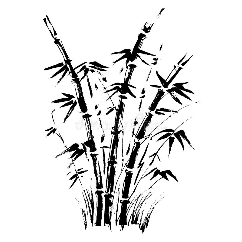Bamboo, vector stock vector. Illustration of flora, branch - 14080930