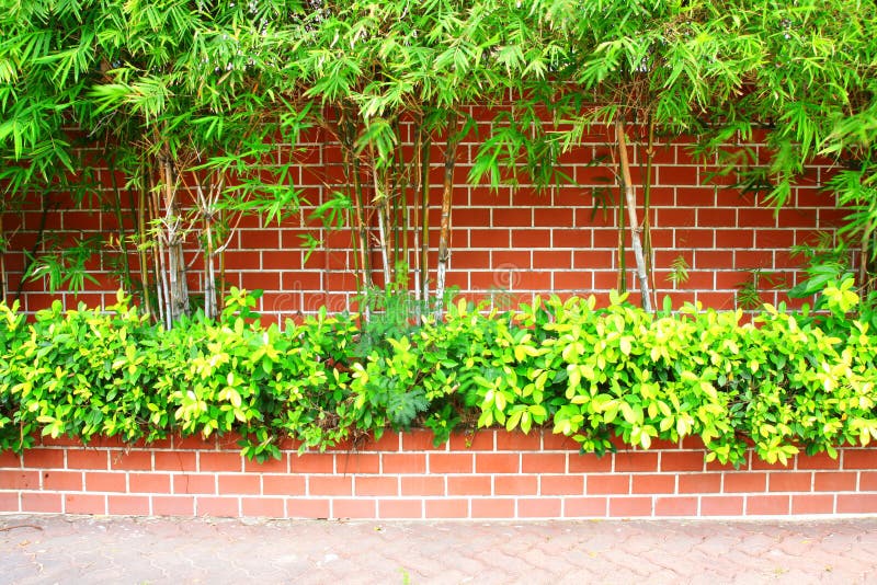 Bamboo and brick wall stock photo. Image of culture, antique - 25556310