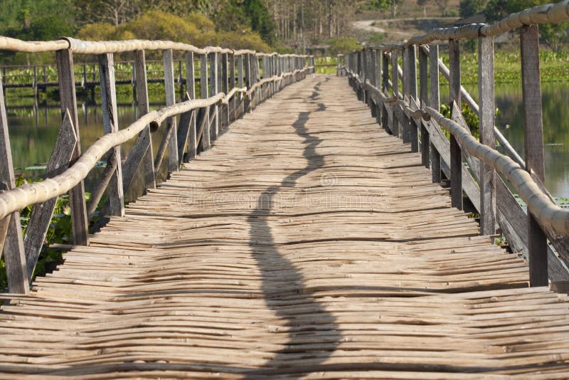 Bamboo bridge stock photo. Image of environment, travel - 23999054