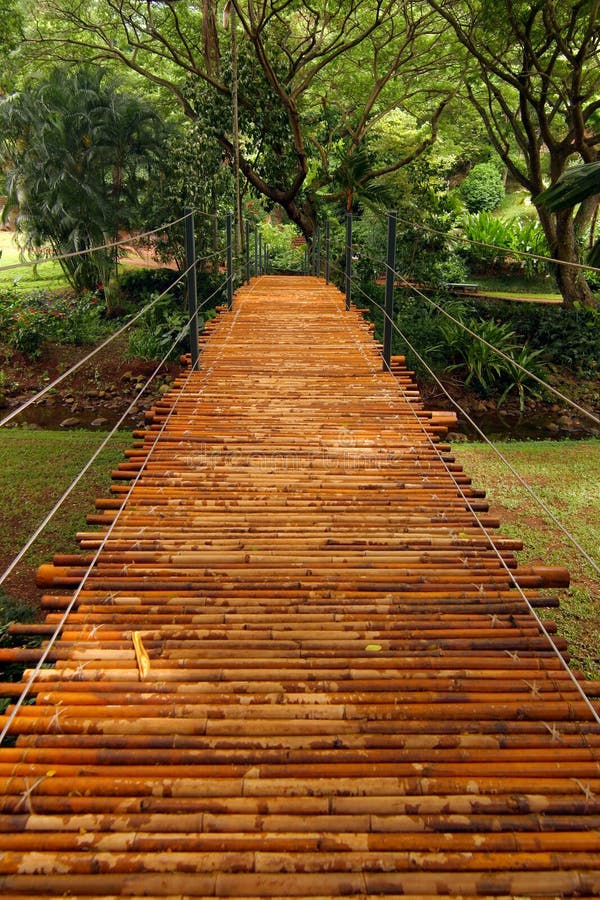 Bamboo Bridge stock image. Image of scenic, leading, botanical - 4352993
