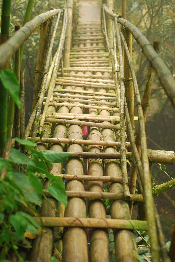 Bamboo Bridge stock photo. Image of bamboo, village, infinite - 4839416