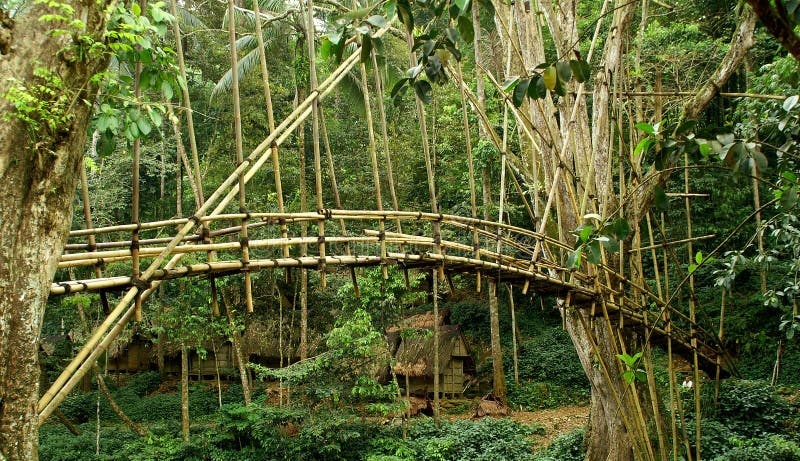 Bamboo Bridge stock image. Image of yellow, connection - 500347