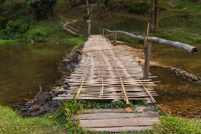 Bamboo bridge stock image. Image of plant, elevated, lush - 66406443
