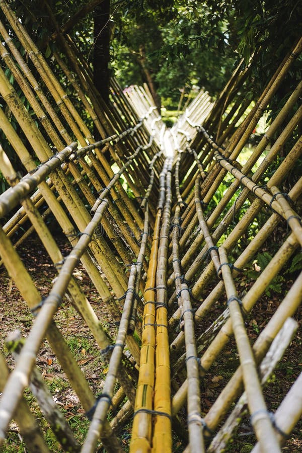 Bamboo Bridge Across a River Stock Image - Image of beautiful, bamboo ...