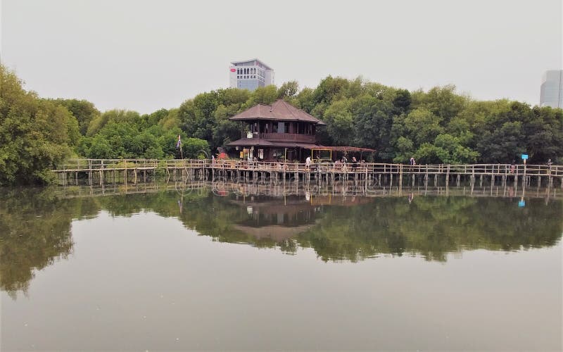 Bamboo bridge stock image. Image of estate, bamboo, reflection - 338000165