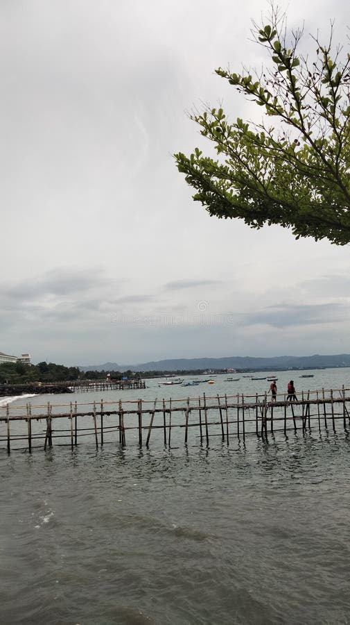 Bamboo Bridge by the Beach with Sea View and Trees Stock Photo - Image ...