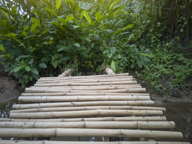 Bamboo Bridge for Crossing Small Canals. Stock Photo - Image of beauty ...