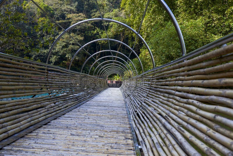 Bamboo Bridge Design Over the River in the Park Stock Photo - Image of ...