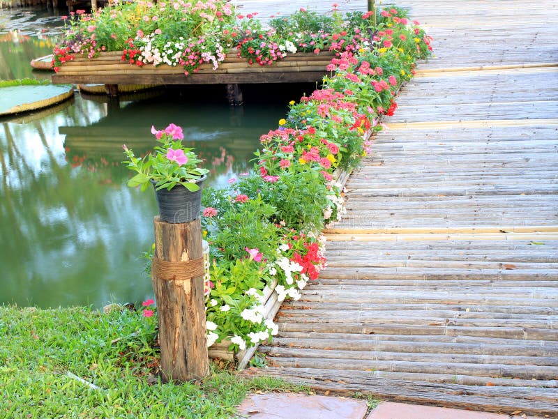 Bamboo bridge with flower stock photo. Image of beautiful - 63190628