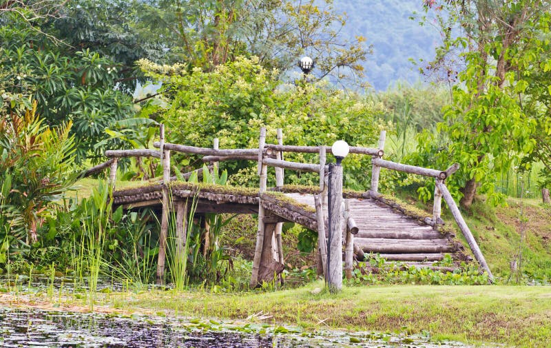 Bamboo bridge stock photo. Image of background, leaf - 33633200