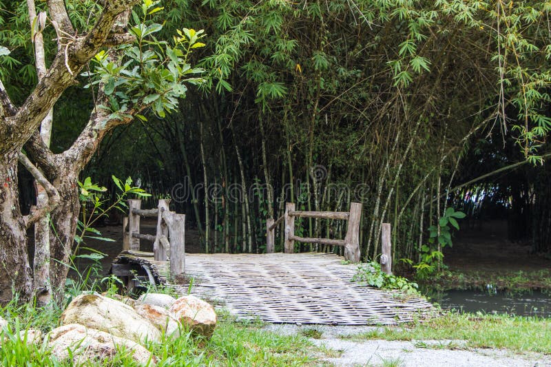 Bamboo bridge in garden stock image. Image of tree, bridge - 98830303