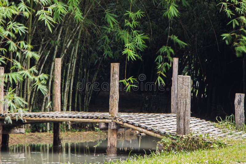 Bamboo bridge in garden stock photo. Image of beautiful - 98830364