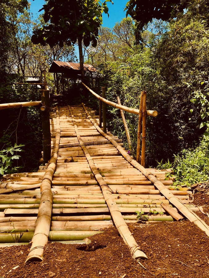 Bamboo bridge stock image. Image of bridge, bamboo, laterite - 211816105