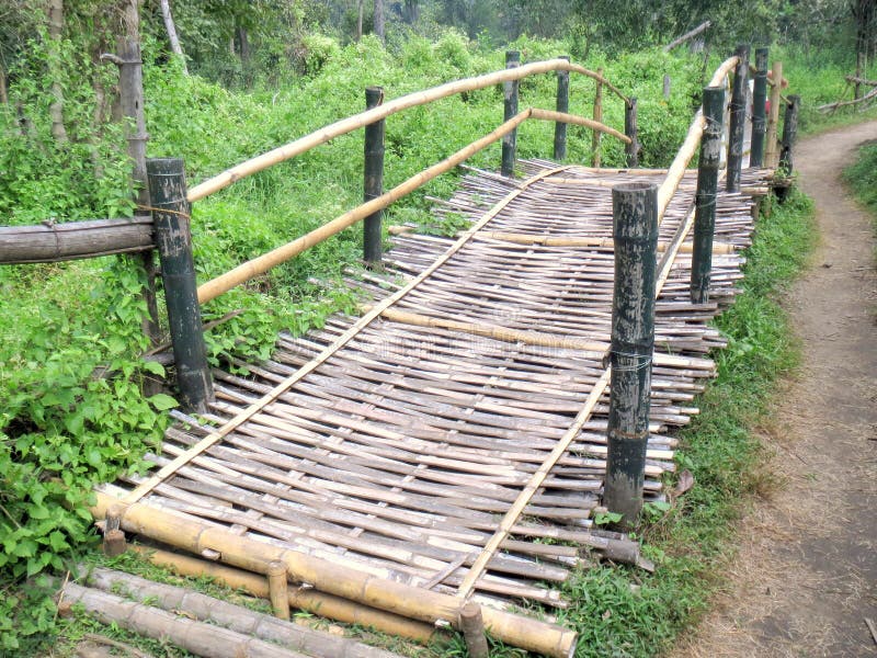 Bamboo bridge stock image. Image of forest, indian, bridge - 48221749