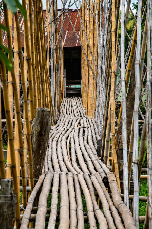 Bamboo Bridge in Pua District Stock Image - Image of building, house ...