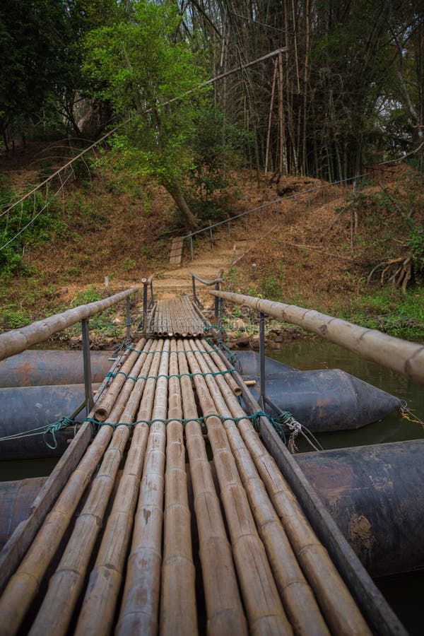 Bamboo bridge stock photo. Image of bamboo, bridge, thailand - 91863096