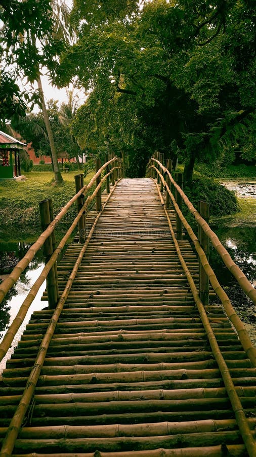 A Bamboo Bridge in the Rural Area of Bangladesh. Stock Photo - Image of ...
