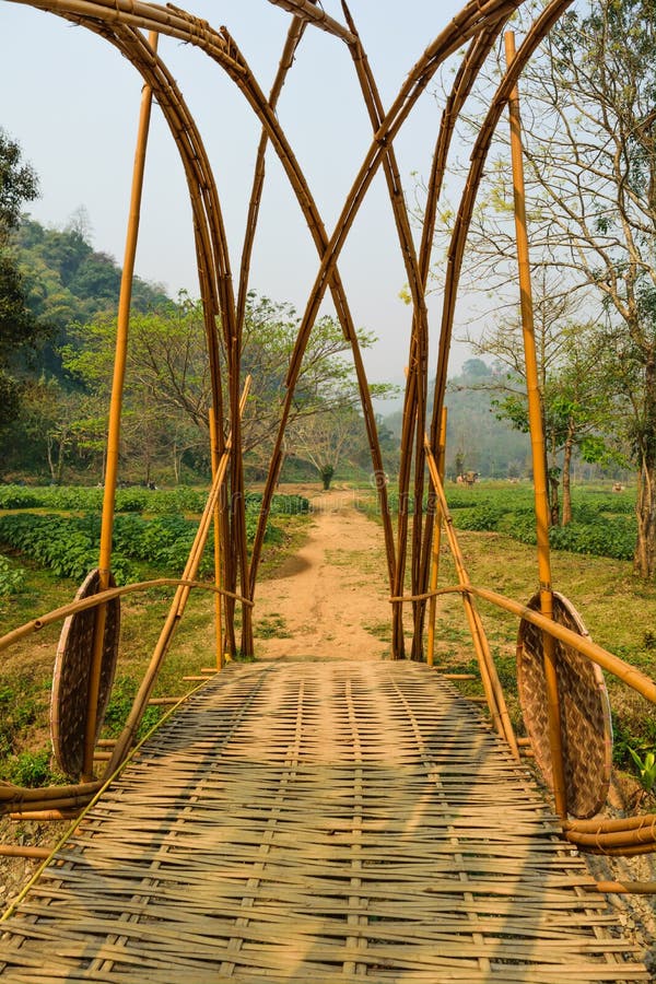 Bamboo bridge stock photo. Image of danger, elevated - 51362808