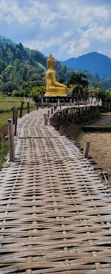 Bamboo bridge to temple stock image. Image of chapel - 310478817