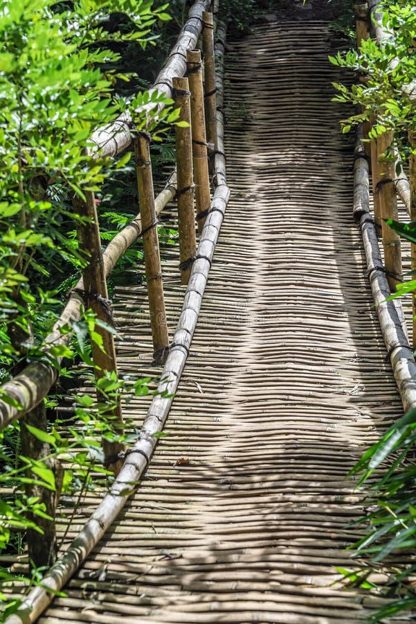 Bamboo Bridge in the Jungle Stock Photo - Image of footbridge, pathway ...