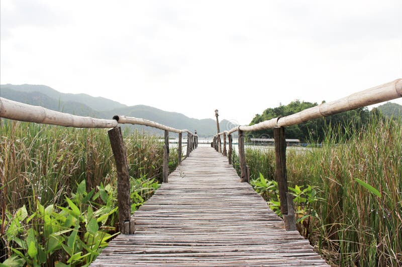 Bamboo Bridge Walkway To Lake Stock Photo - Image of bridge, beautiful ...