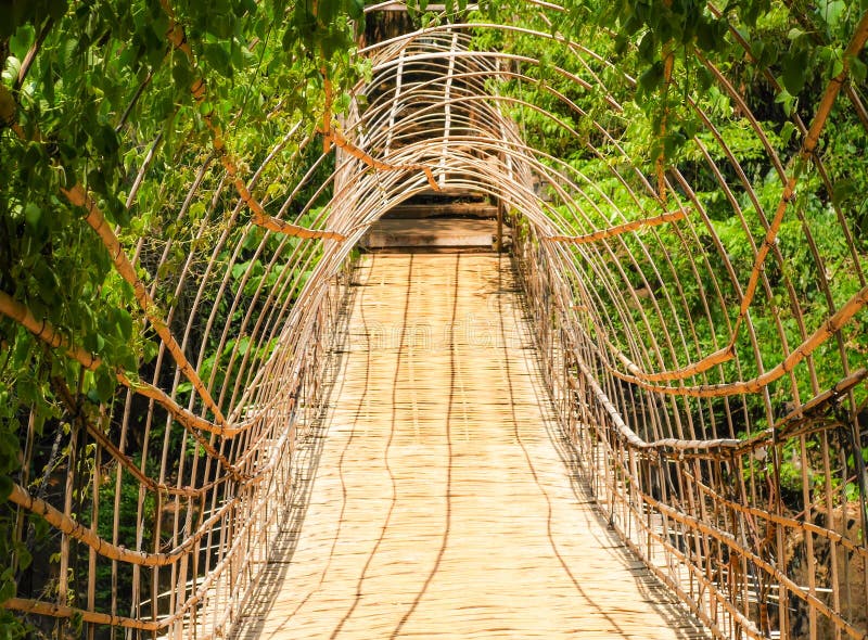 The Bamboo Bride Overlapped by Water during Flood in Madhubani India ...