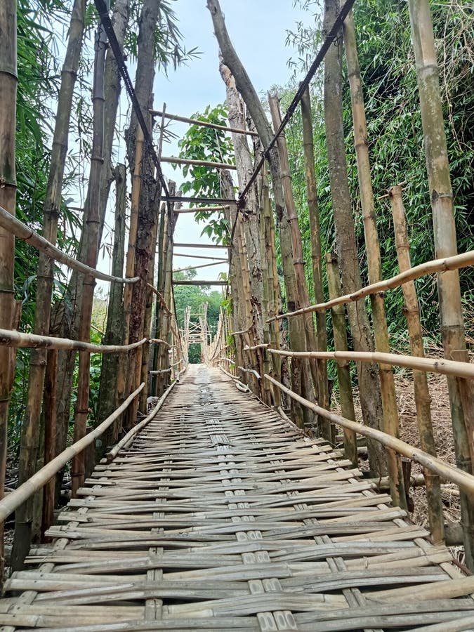 Bamboo Bridges we& X27;re Built To Cross the Rivesrs Stock Image ...