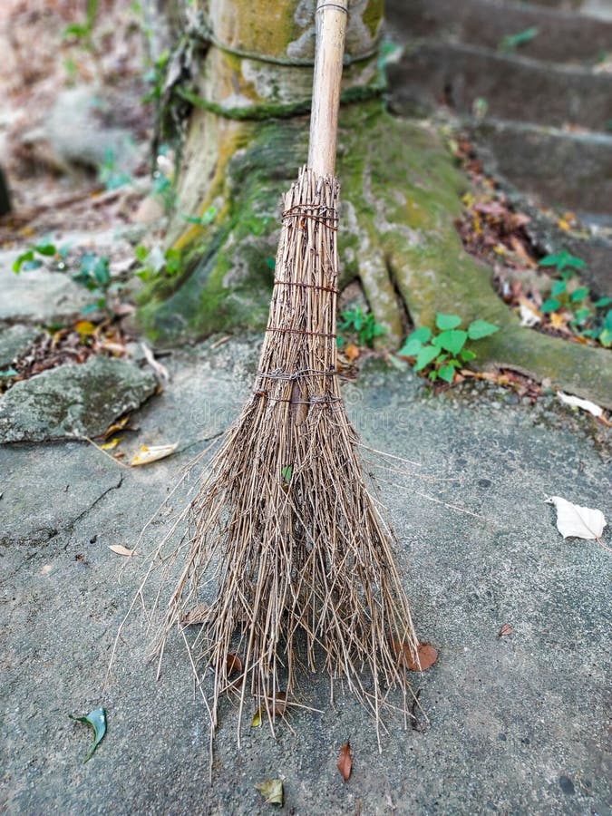 Bamboo Broom Leaning on Tree Trunk Stock Photo - Image of mountain ...