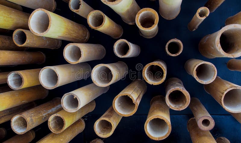 Bamboo stock image. Image of indoor, yellow, straight - 68205459