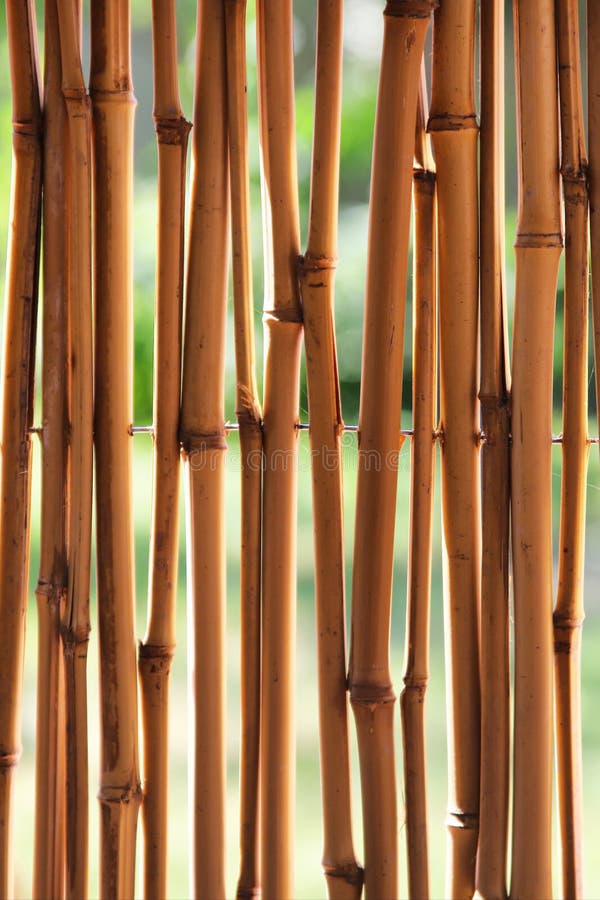 Bamboo (cane) background stock image. Image of rural - 16701991