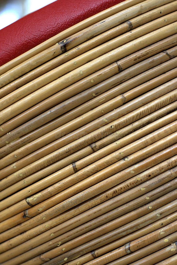 Bamboo cane texture stock photo. Image of detail, details - 13610502