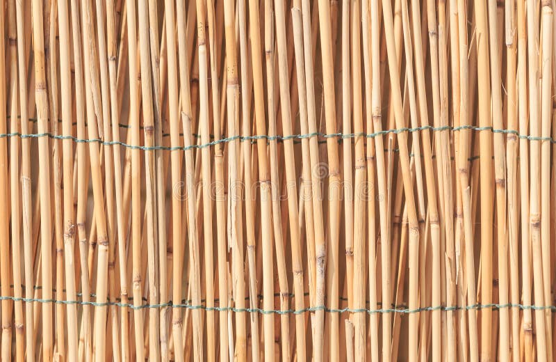 Bamboo cane wall texture stock photo. Image of panel - 86390054