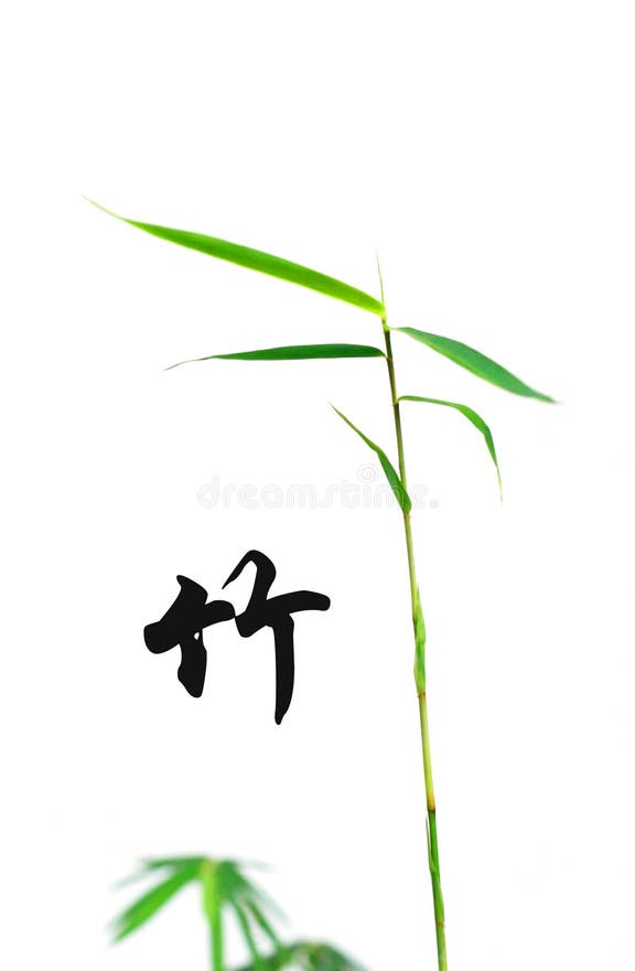 Bamboo and Chinese Calligraphy Stock Photo - Image of bamboos, chinese ...