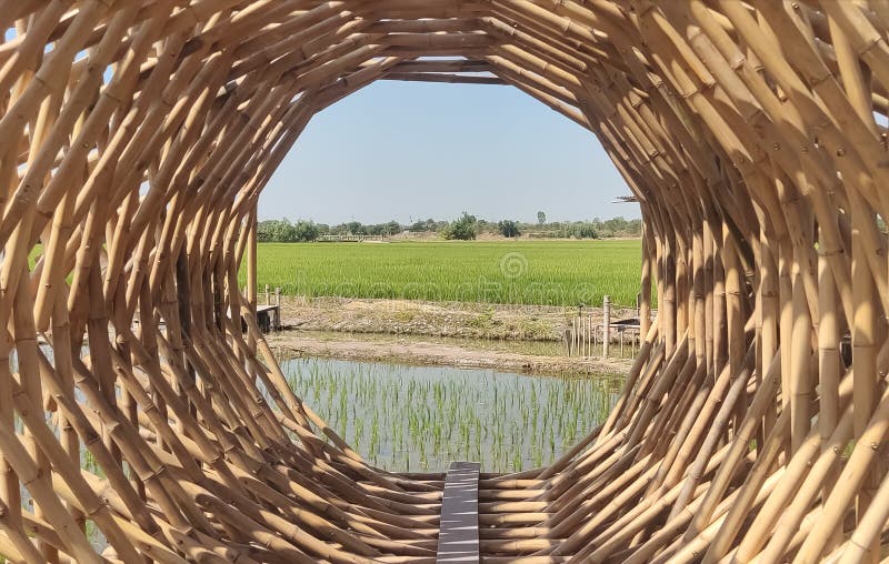 Bamboo Circle Cave in the Field Stock Image - Image of cave, wood ...
