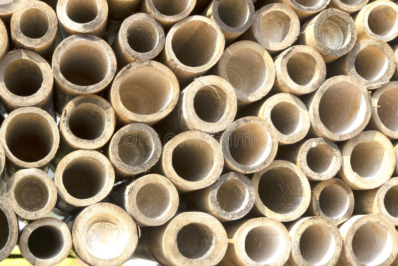 Bamboo Circle Cross Section Texture for Background Stock Photo - Image ...