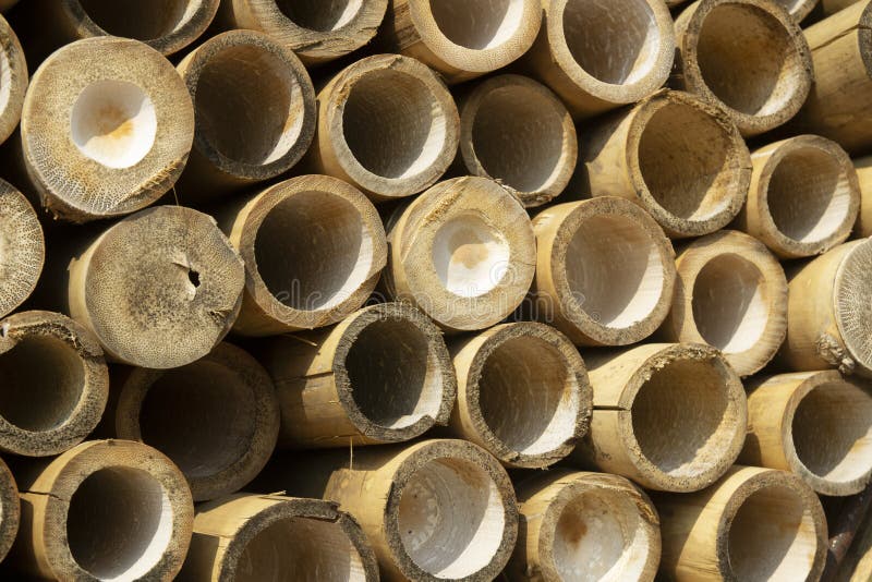 Bamboo Circle Cross Section Texture for Background Stock Photo - Image ...