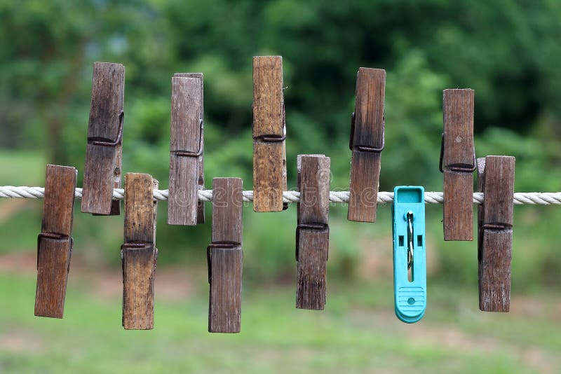 Bamboo clips stock photo. Image of detail, cloud, outdoor - 14390966