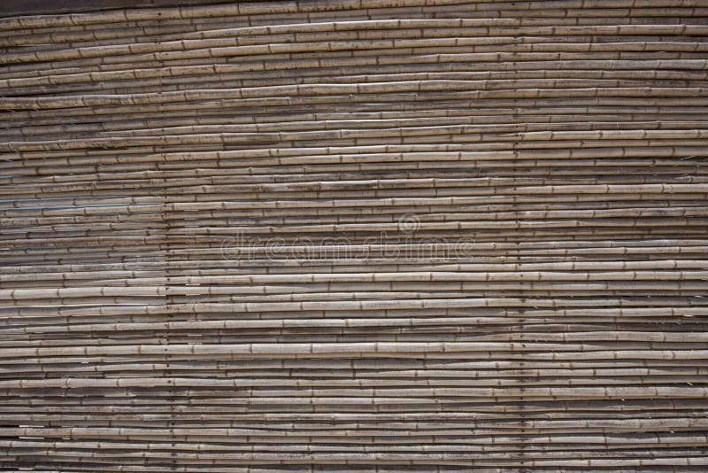 Bamboo Close Up, Nice Grunge Texture for Your Projects Stock Image ...