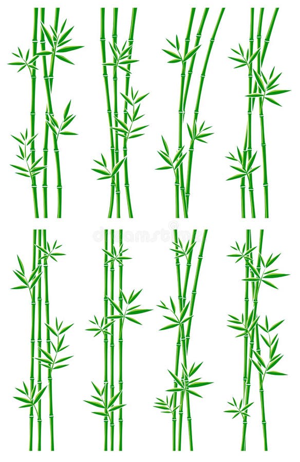 Bamboo Collection Set. Vector Stock Vector - Illustration of relax ...
