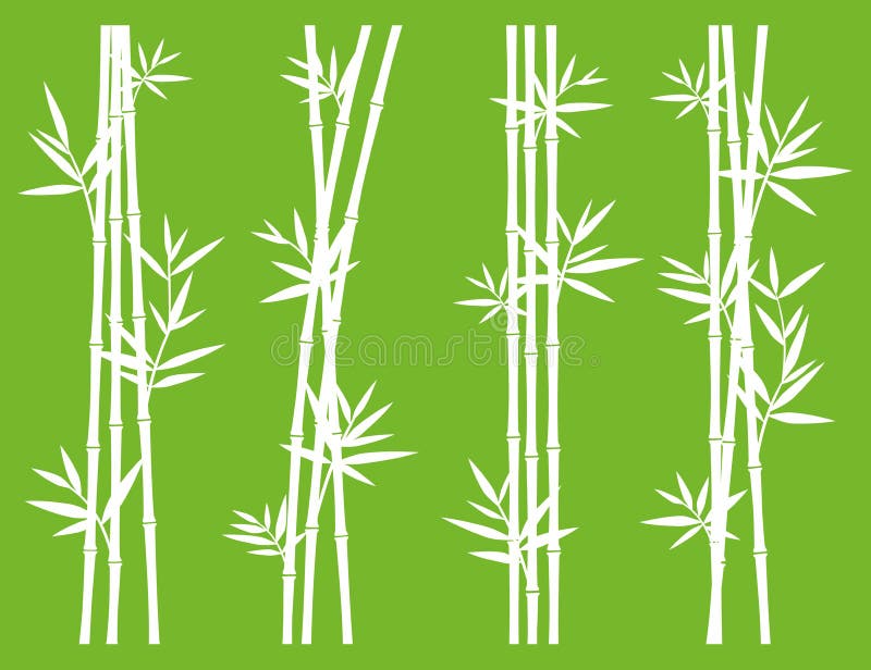 Bamboo Collection Set. Vector Stock Vector - Illustration of beautiful ...