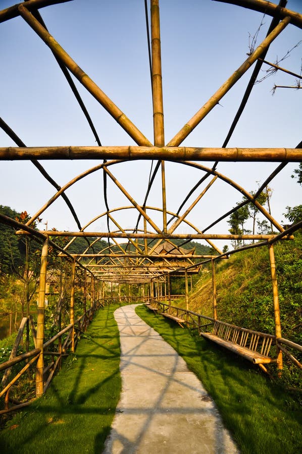 Bamboo corridor on water stock photo. Image of color - 42065090