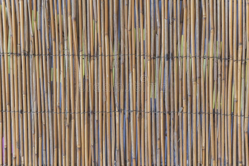 Bamboo Covered Exterior Wall of a Building Stock Image - Image of plant ...