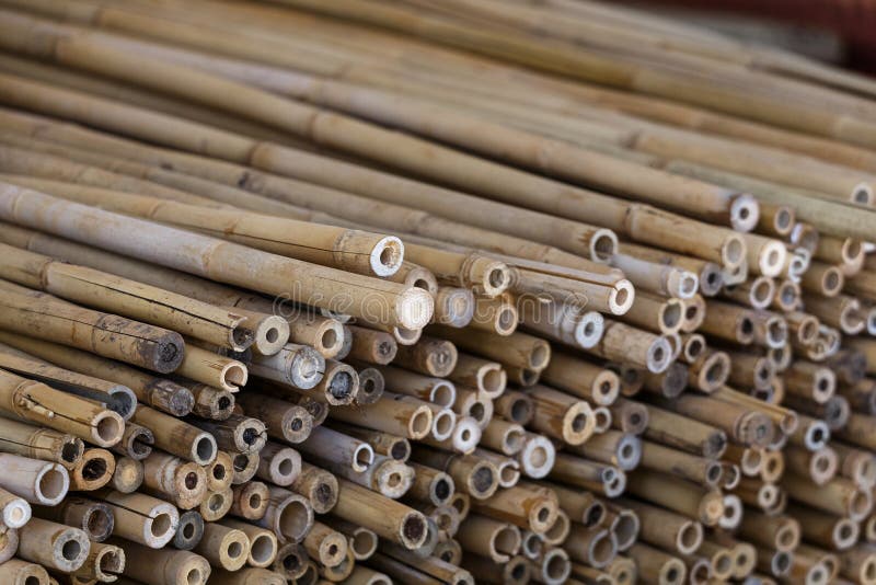Bamboo is a cross stock photo. Image of cross, abstract - 27617404