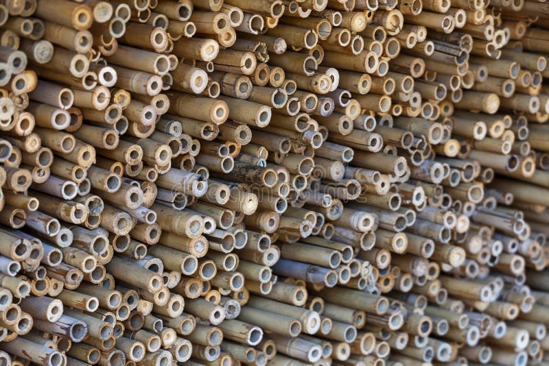 Bamboo is a cross stock photo. Image of cross, abstract - 27617404