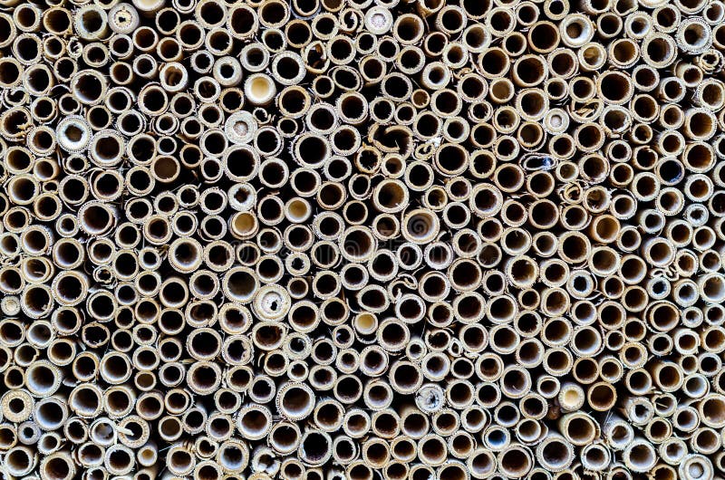 Bamboo Round Hole Wall Stock Photos - Free & Royalty-Free Stock Photos ...